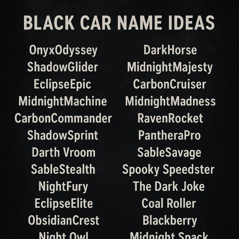 Funny Black car names ideas