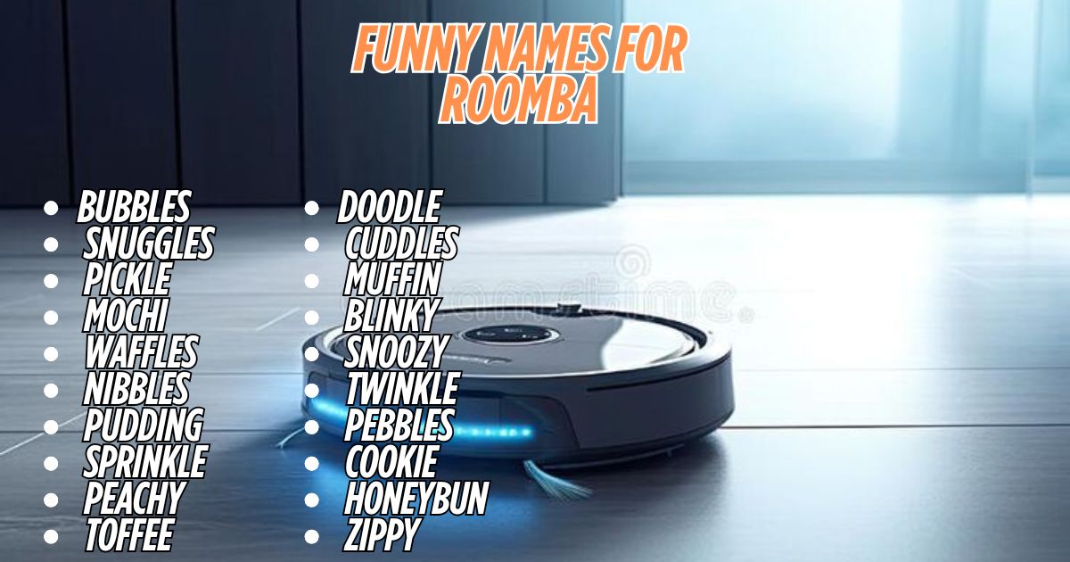 Funny Names For A Roomba