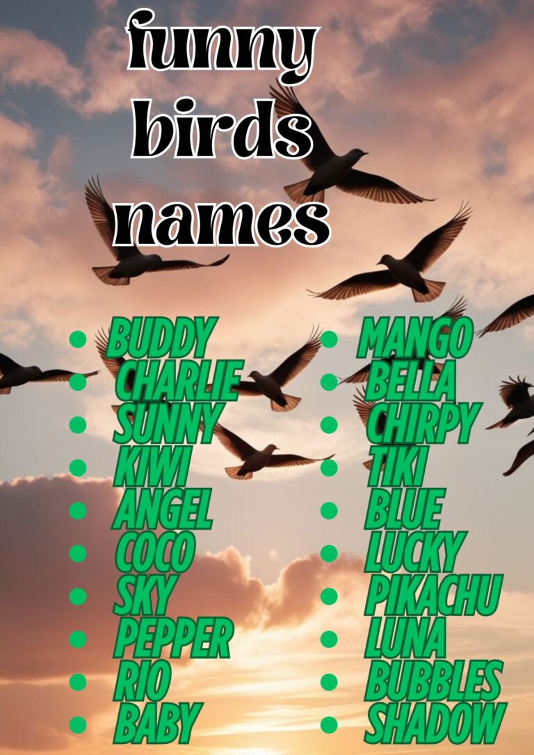 1000+ Funny And Trending Names For Birds 2025