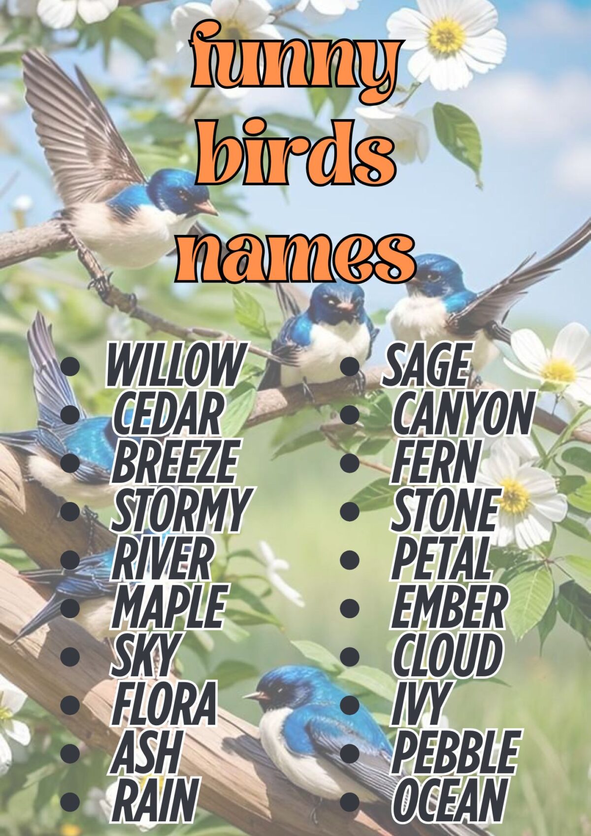 1000+ Funny And Trending Names For Birds 2025
