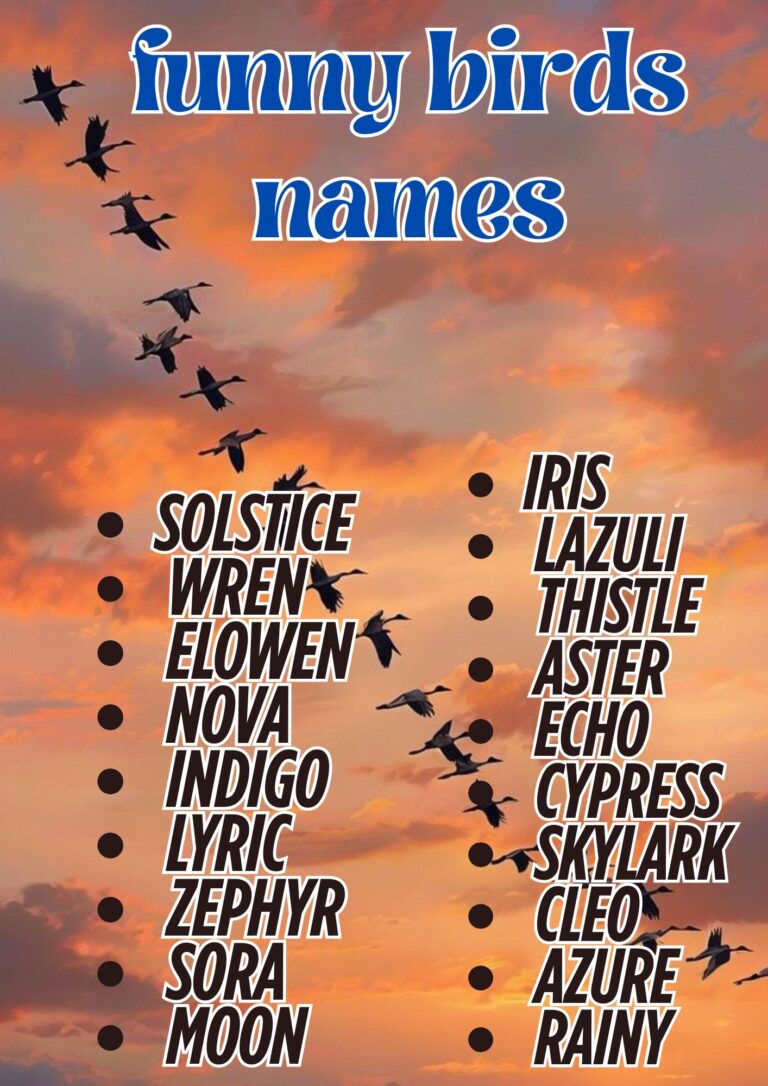 1000+ Funny And Trending Names For Birds 2025