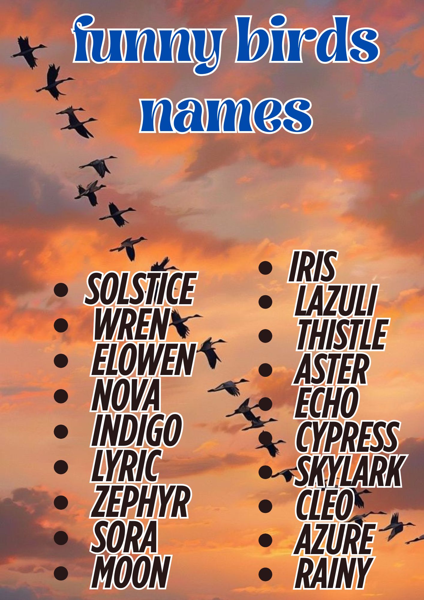 1000+ Funny And Trending Names For Birds 2025