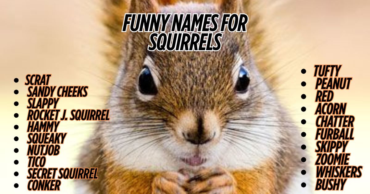 900+ Funny Names For Squirrels in Nature’s Nutty Creatures 2025