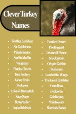 400+ Funny Names for Turkey That’ll Make You Gobble Laugh 2025