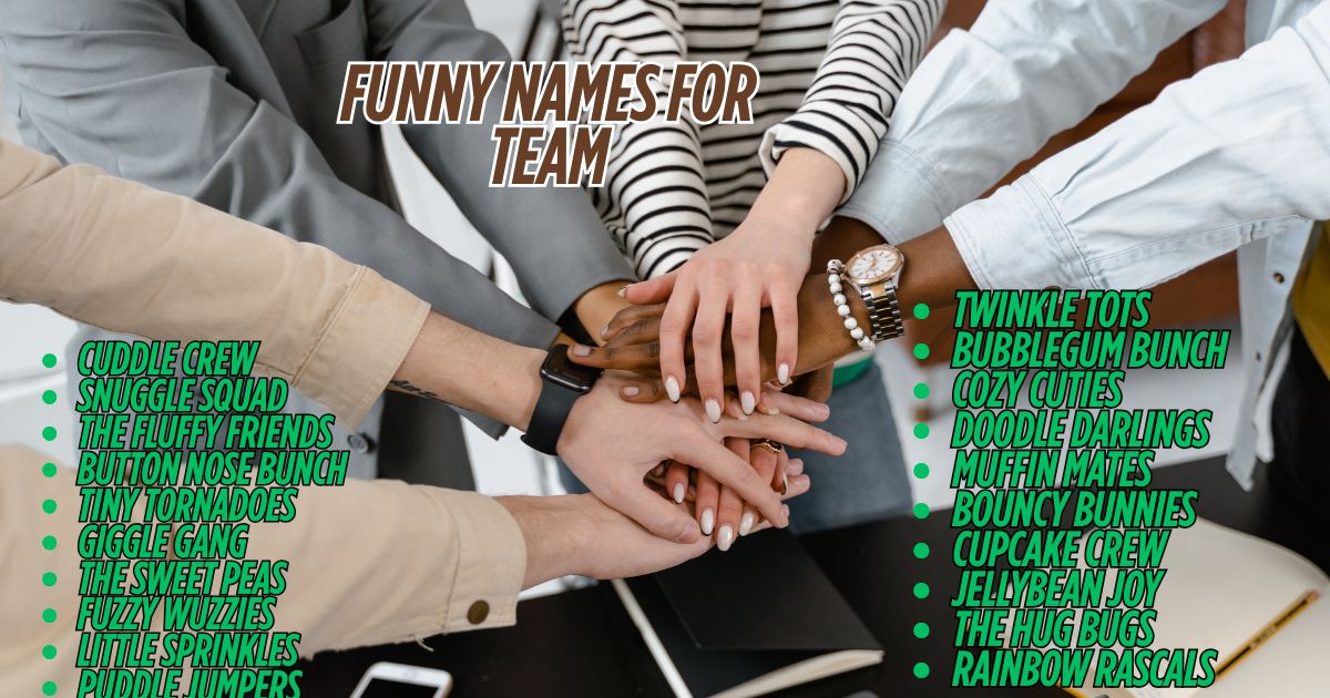 800+ Funny Names For Teams A Guide To Finding The Funniest Team Names 2025