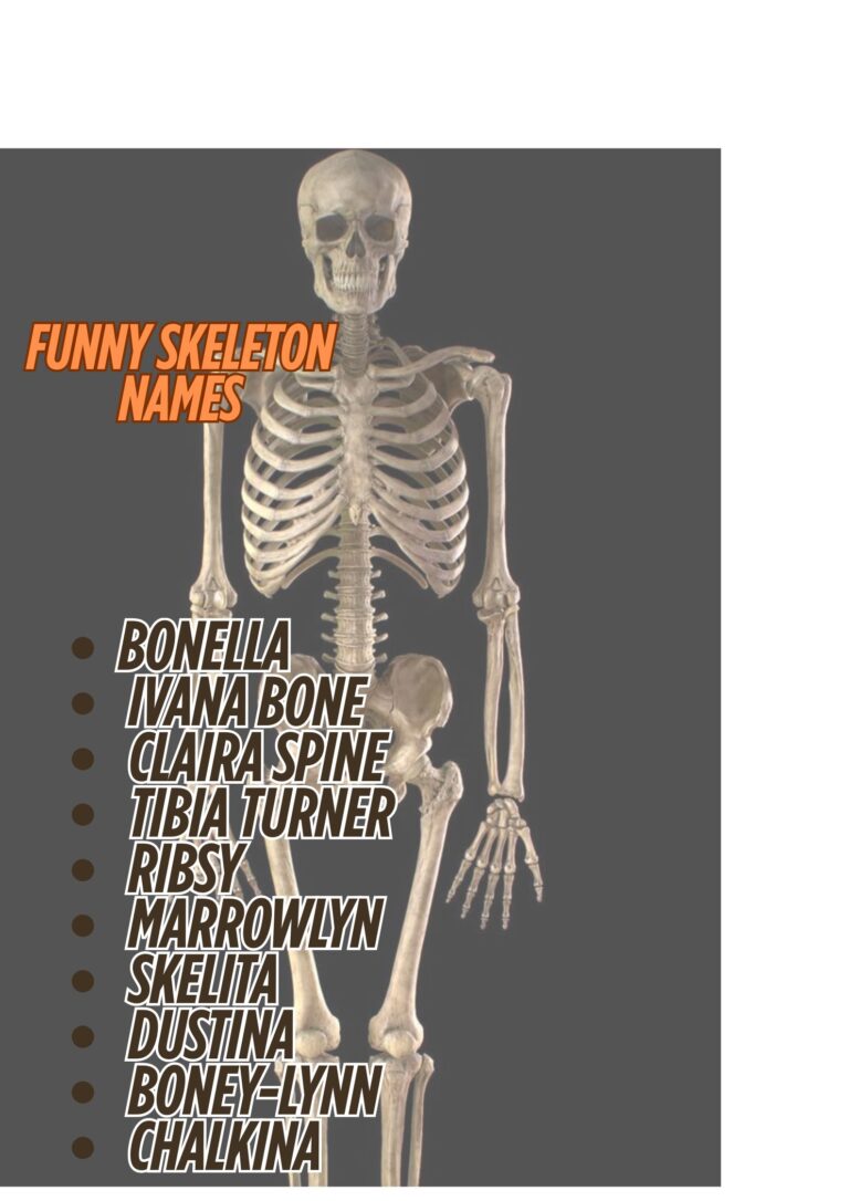 800+ Funny And Hilarious Skeleton Names 2025